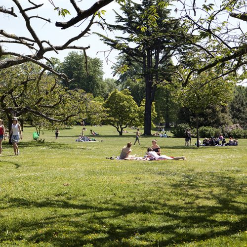 Bute Park - Outdoor Cardiff