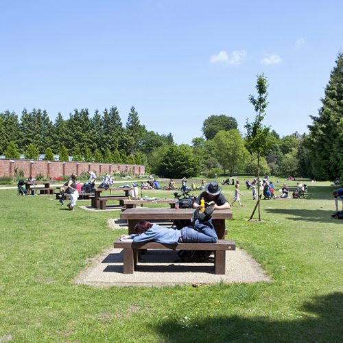 Bute Park - Outdoor Cardiff
