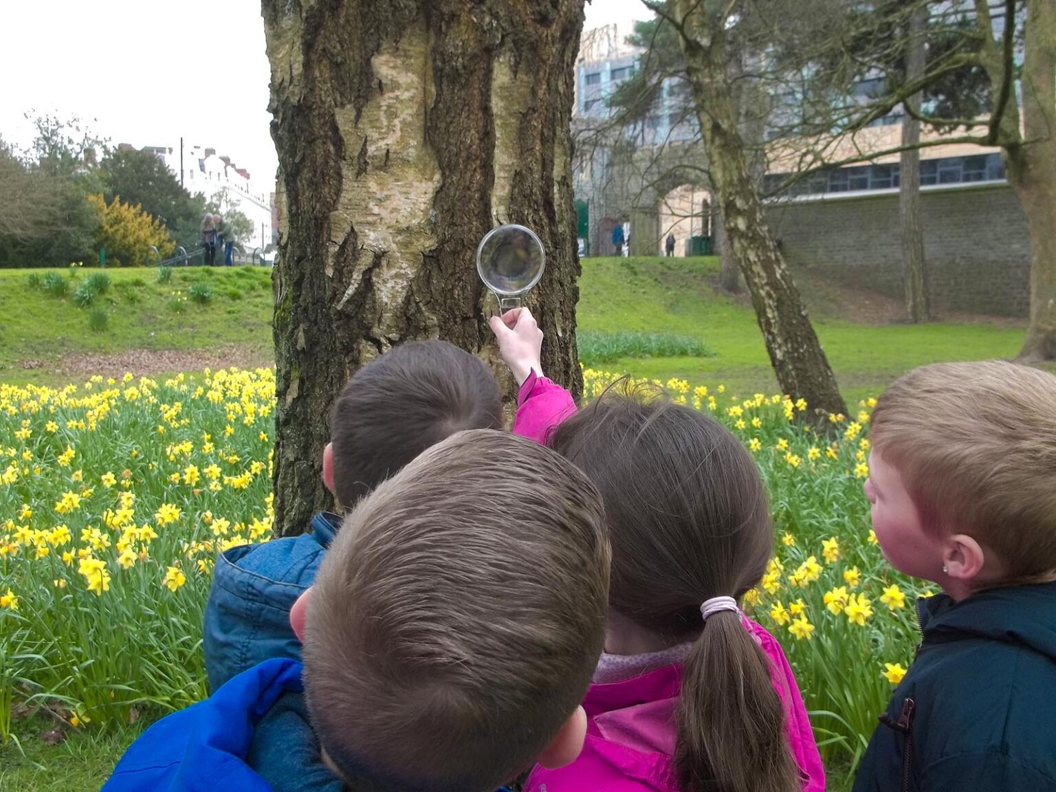 Outdoor learning in parks and green spaces - Outdoor Cardiff