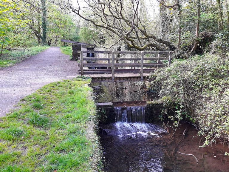 Forest Farm and Melingriffith - Outdoor Cardiff