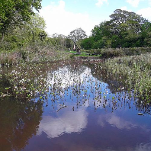 Forest Farm and Melingriffith - Outdoor Cardiff
