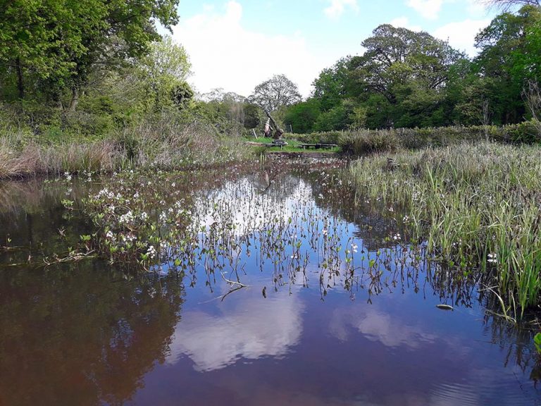 Forest Farm and Melingriffith - Outdoor Cardiff