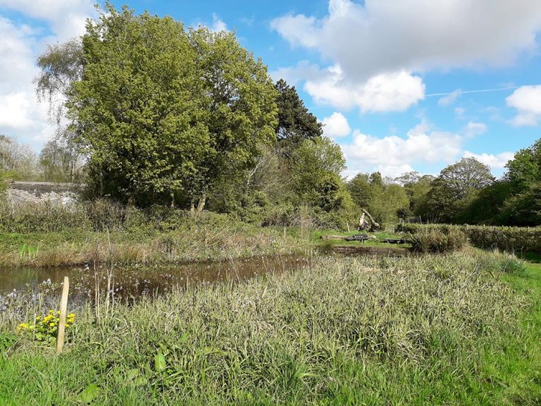 Forest Farm and Melingriffith - Outdoor Cardiff