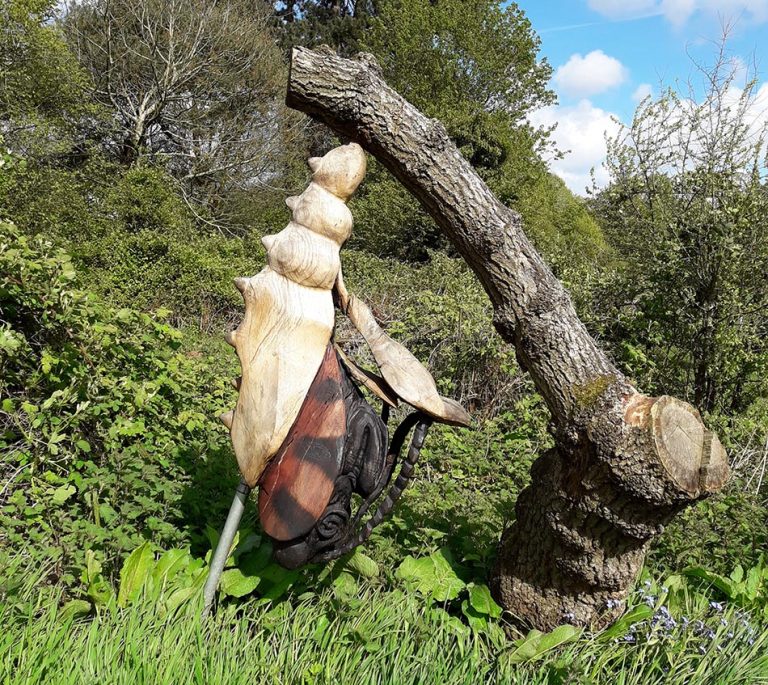 Forest Farm and Melingriffith - Outdoor Cardiff
