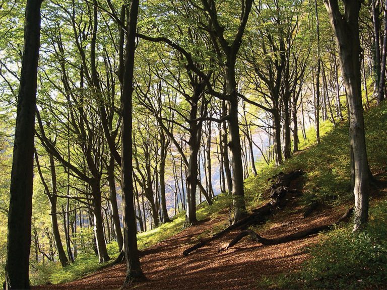 Fforest Fawr Circular Walk - Outdoor Cardiff