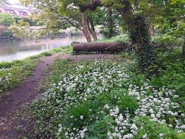 Hailey Park - Outdoor Cardiff