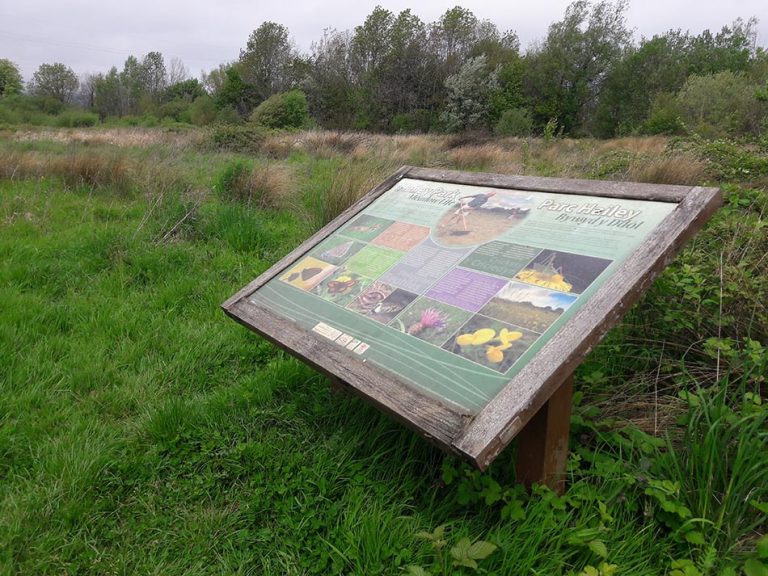 Hailey Park - Outdoor Cardiff