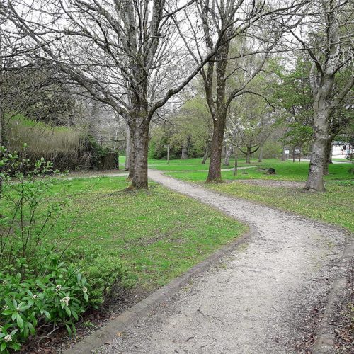 Heath Park - Outdoor Cardiff