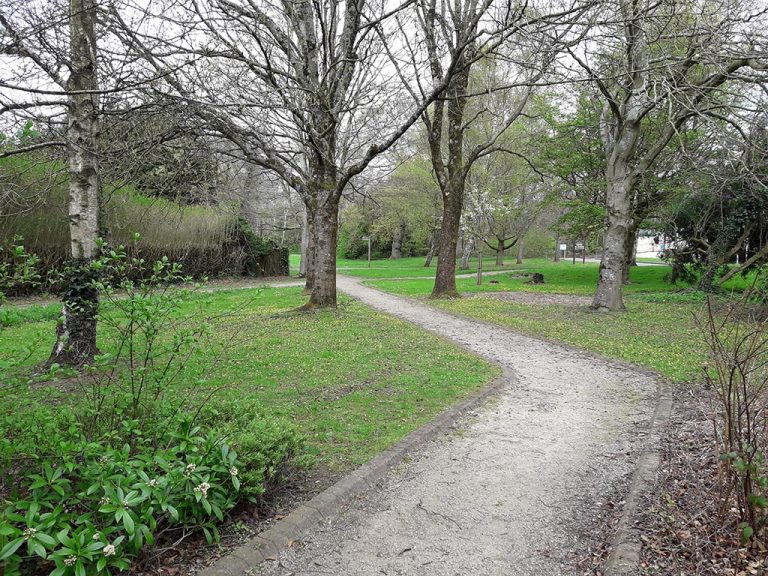 Heath Park - Outdoor Cardiff