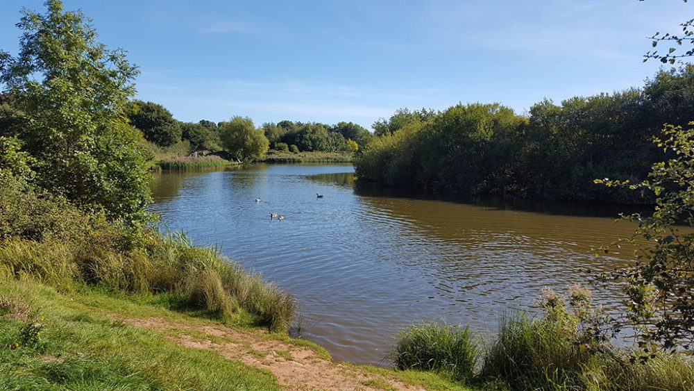 Hendre Lake Park - Outdoor Cardiff