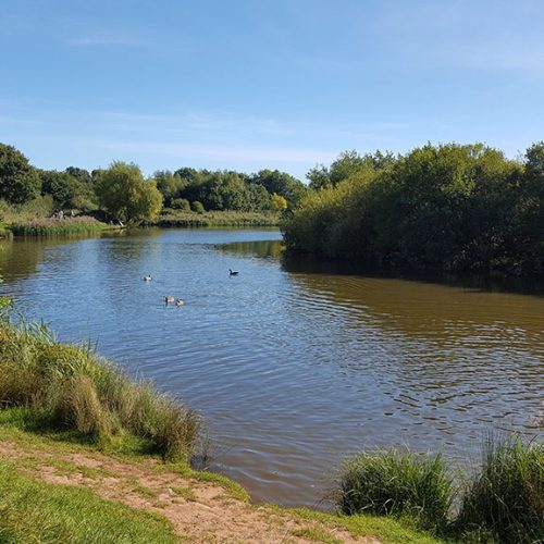Hendre Lake Park - Outdoor Cardiff