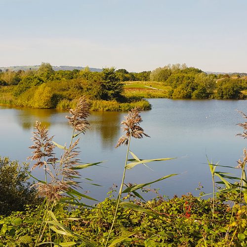 Hendre Lake Park - Outdoor Cardiff