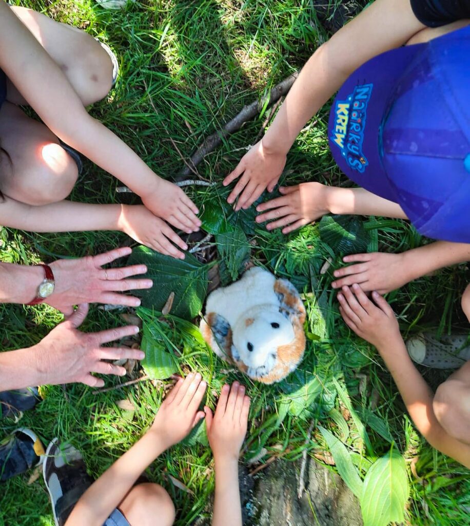 Outdoor learning for clubs and organised groups - Outdoor Cardiff