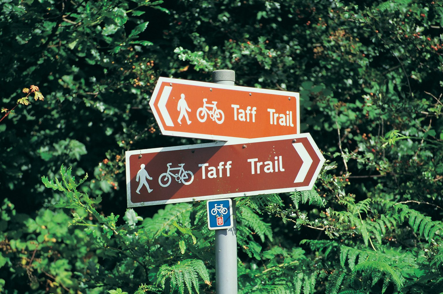 Taff Trail - Outdoor Cardiff