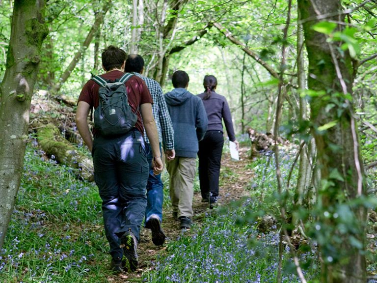 Find a walking trail in Cardiff - Outdoor Cardiff